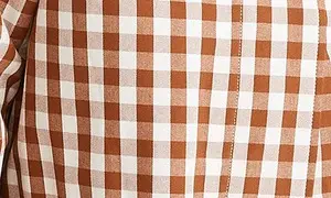 Madewell Raincloud Gingham Raincoat