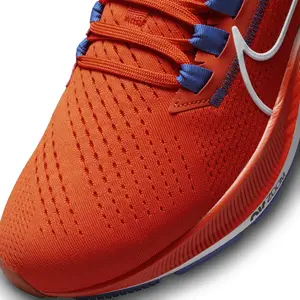 Nike College Pegasus 38 Running Shoes