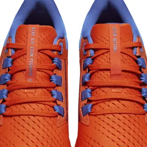 Nike College Pegasus 38 Running Shoes