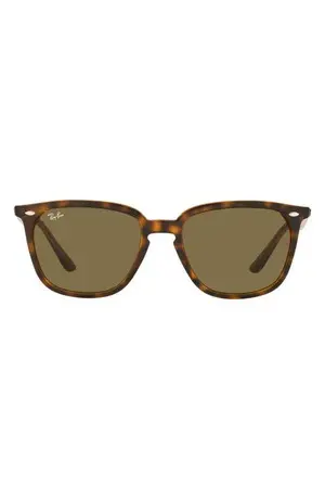 Ray-ban 55mm Round Frame Sunglasses - Havana/dark Brown