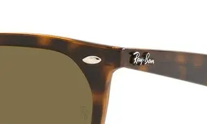 Ray-ban 55mm Round Frame Sunglasses - Havana/dark Brown