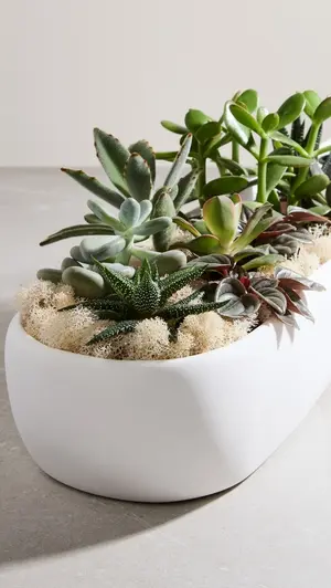 TF DESIGN Cuadrado Long Centerpiece Bowl