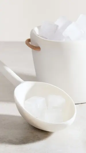TF DESIGN Sculpt Ice Scoop