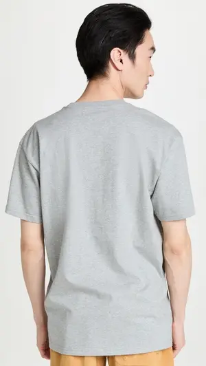 Carhartt Work In Progress Short Sleeve Chase T-shirt - Grey Heather