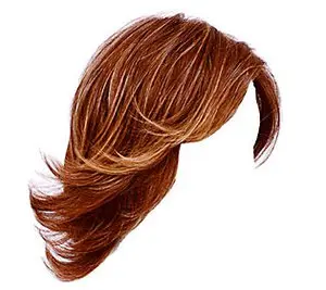 RAQUEL WELCH Embrace Wig