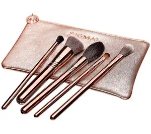 SIGMA BEAUTY Iconic Brush Set