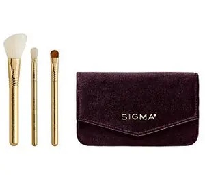 Sigma Beauty Brush Set Makeup Products