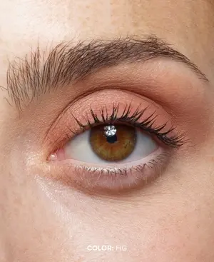 NUDESTIX Magnetic Matte Eye Color - Fig