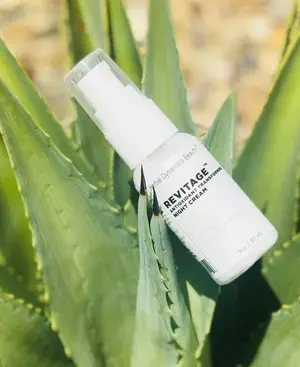 HERBAL DYNAMICS BEAUTY Revitage Antioxidant Transforming Night Cream