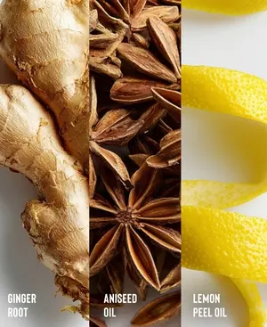 CAMILLE ROSE Sweet Ginger Cleansing Rinse - No Color
