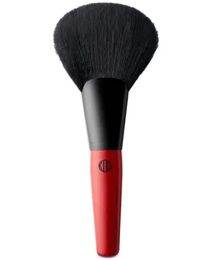 Koh Gen Do Fan Brush - No Color