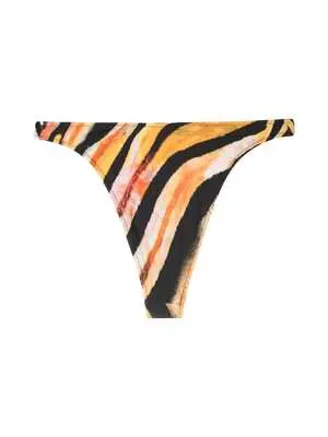 Roberto Cavalli Tiger Print Bikini Bottoms