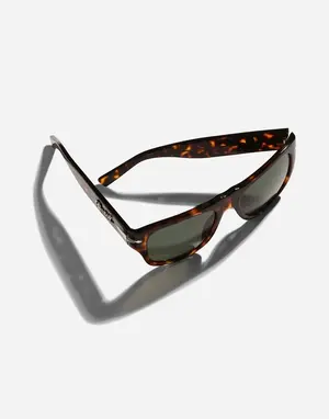 Dolce & Gabbana X Persol Sunglasses - Havana
