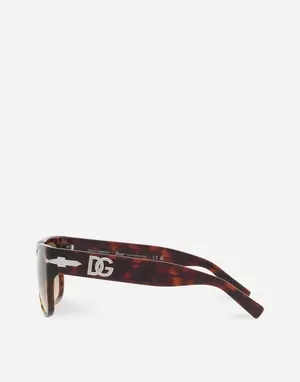 Dolce & Gabbana X Persol Sunglasses - Havana