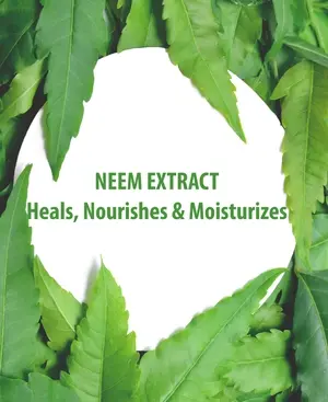 SUNDARI Neem And Avocado Balancing Moisturizer