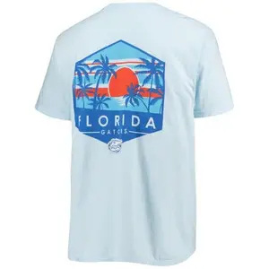 IMAGE ONE Florida Gators Landscape Shield Comfort Colors T-shirt
