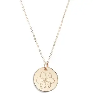NASHELLE Nashelle Birth Flower Necklace 14k Gold Fill - December
