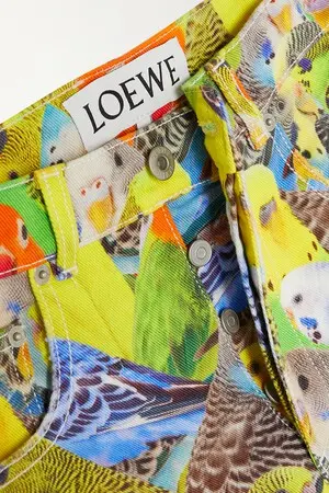 Loewe High-rise Printed Flared Jeans