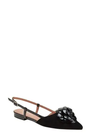 Linea Paolo Pointed Toe Flats For Women
