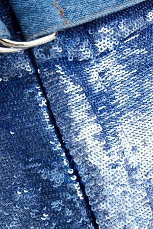 IRO PARIS Namour Belted Sequined Woven Shorts