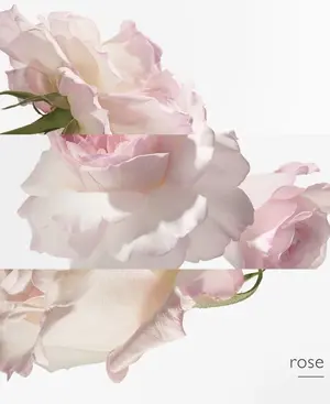 Hermès Eau De Pamplemousse Rose Eau De Cologne - No Color