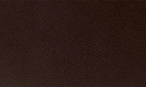 DEMELLIER Helsinki Leather Hobo Bag