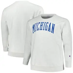 Champion Michigan Wolverines Big & Tall Reverse Weave Fleece Crewneck Pullover Sweatshirt - Ash