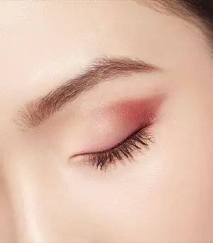 Dior 5 Couleurs Couture Eyeshadow Palette