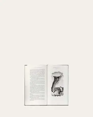 GRAPHIC IMAGE The Old And The Sea" Leather Bound Book Ernest Hemingway