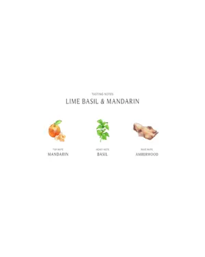 Jo Malone Lime Basil & Mandarin Home Candle, 7 Oz