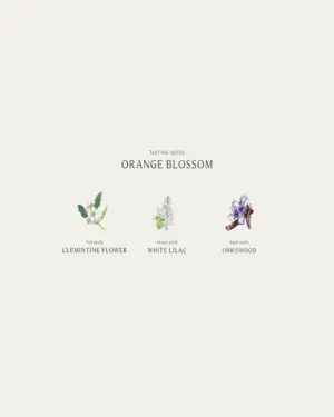Jo Malone Orange Blossom Home Candle, 7 Oz