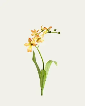 TOMMY MITCHELL Original Painted Freesia Study - Yellow