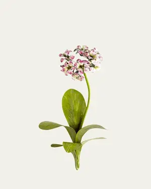 TOMMY MITCHELL Original Painted Primula Study - Pink