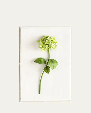 TOMMY MITCHELL Original Painted Hydrangea Study - Green