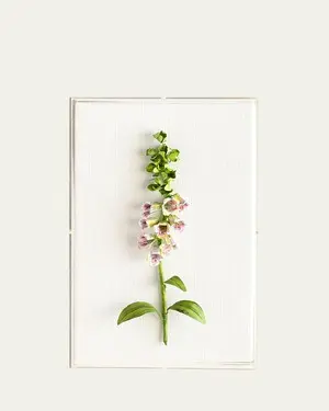 TOMMY MITCHELL Original Painted Foxglove Study - Pink