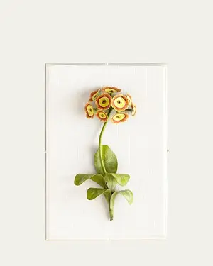 TOMMY MITCHELL Original Painted Auricula Study - Yellow
