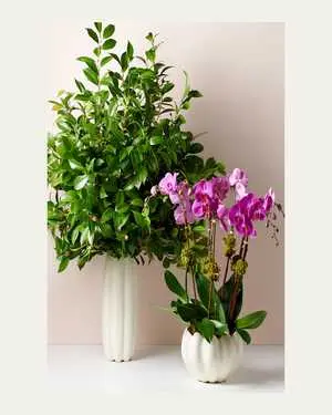 Aerin Mirabelle Tall Vase
