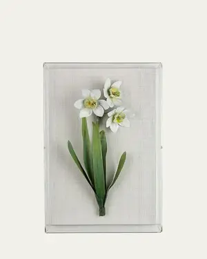 TOMMY MITCHELL Narcissus December Birth Flower Wall Art - White