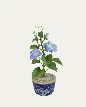 TOMMY MITCHELL Morning Glory September Birth Flower In Ceramic Pot - Blue