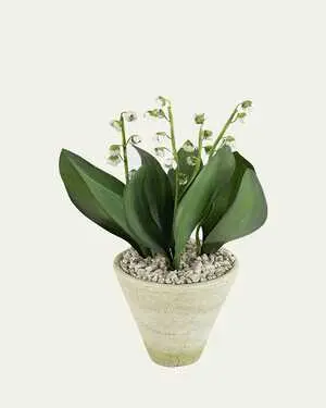 TOMMY MITCHELL Lily Of The Valley May Birth Flower In Terracotta Pot - White
