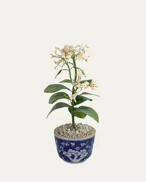 TOMMY MITCHELL Honeysuckle June Birth Flower In Ceramic Pot - Warm White