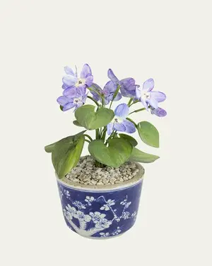 TOMMY MITCHELL Violet February Birth Flower In Ceramic Pot - Blue/white