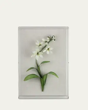 TOMMY MITCHELL Freesia March Birth Flower Wall Art - Soft Yellow