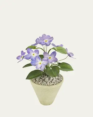 TOMMY MITCHELL February Birth Flower In White Terracotta Pot - Violet