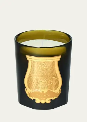 TRUDON Spiritus Sancti Classic Candle, Incense, 9.5 Oz. Na