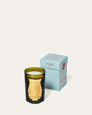 TRUDON Solis Rex Classic Candle Versailles' Wooden Floors, 9.5 Oz