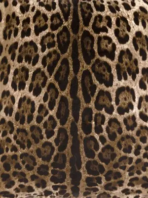 Dolce & Gabbana Medium Leopardo-print Velvet Cushion