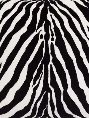 Dolce & Gabbana Medium Zebra-print Velvet Cushion