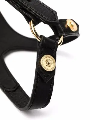 Versace Medusa-stud Pet Harness