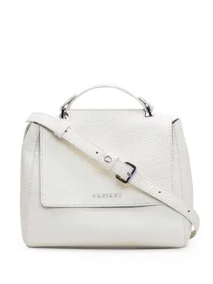 ORTIGNI Mini Sveva Flash Tote Bag